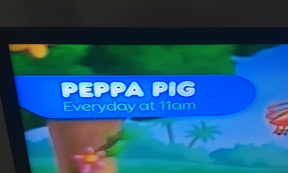 NickALive!: Nick Jr. India Launches All-New On-Air Brand Refresh ...