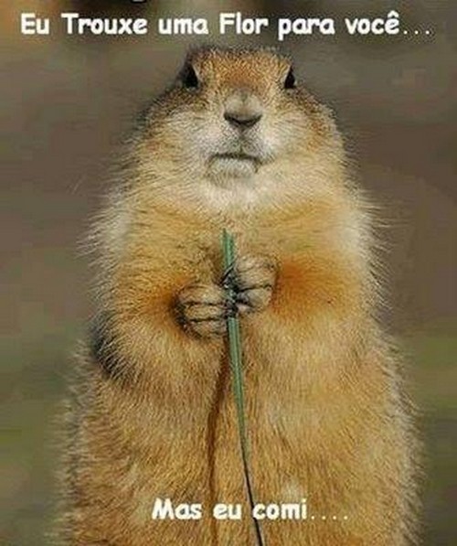 Hoje é dia de humor! - Vivendo Bem Feliz