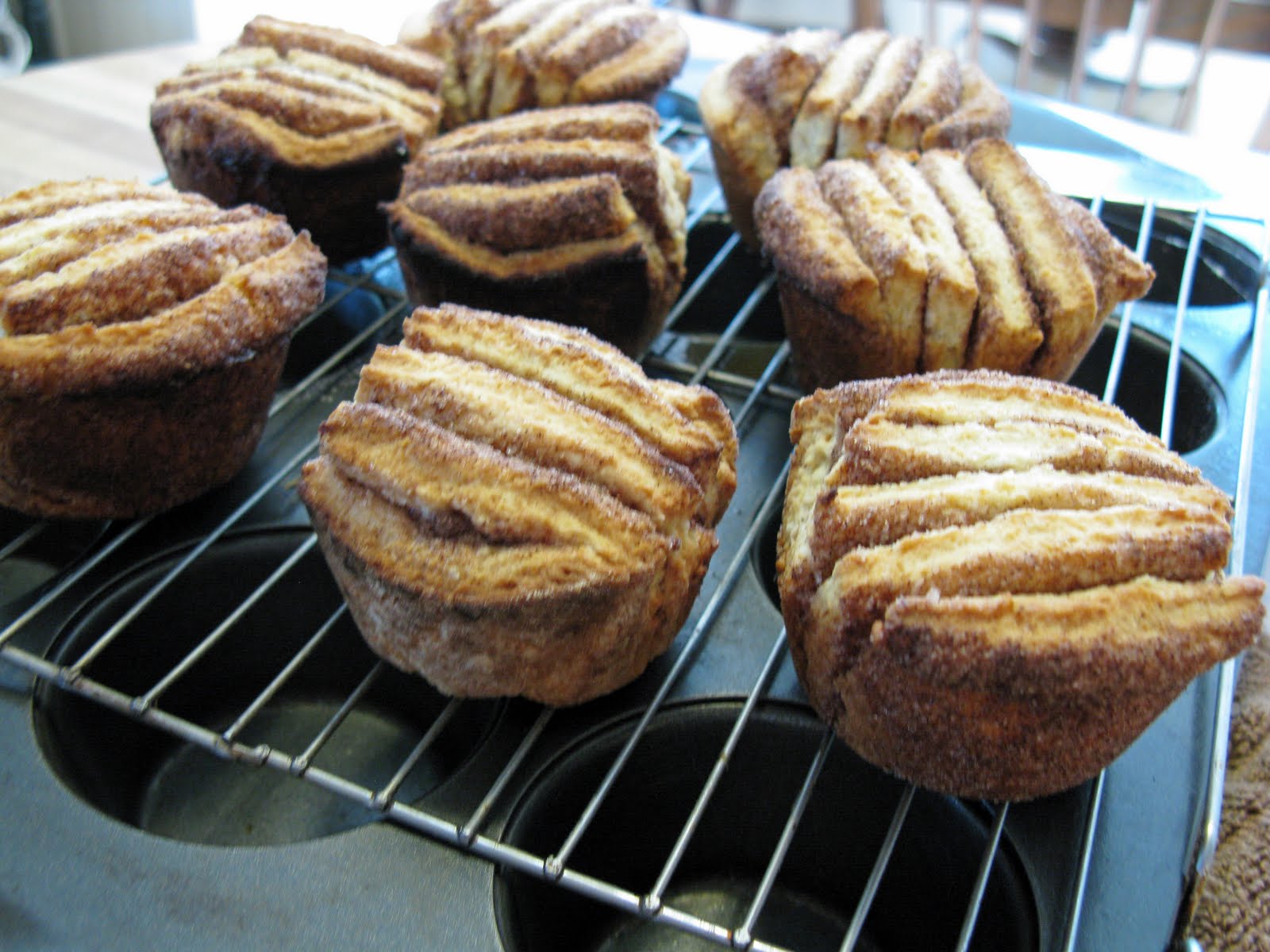 Food for A Hungry Soul: Cinnamon Biscuit Fans