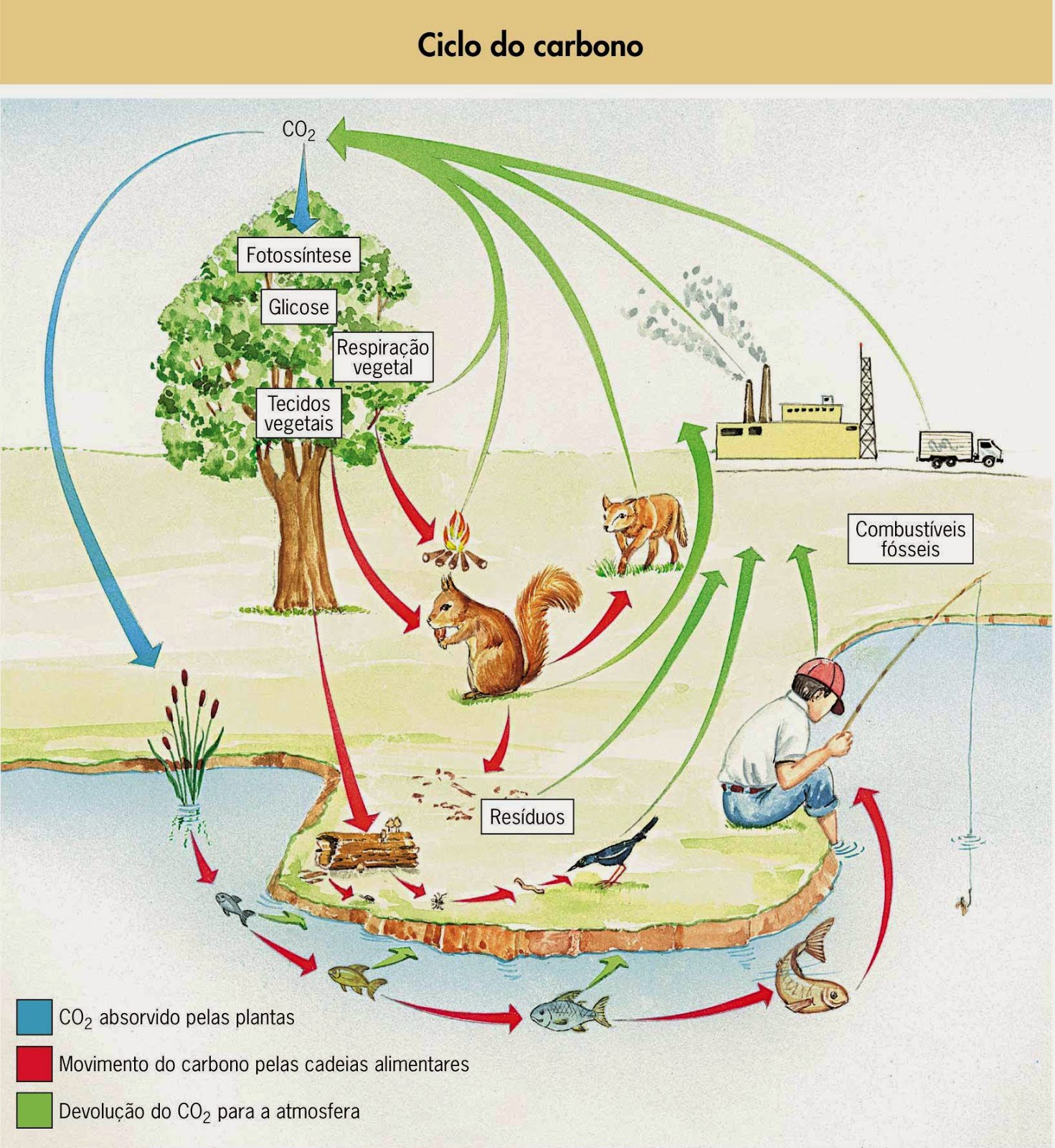 De Tudo Um Pouco: Meu Roteiro de Estudos - Biologia: Fluxo de Energia e ...