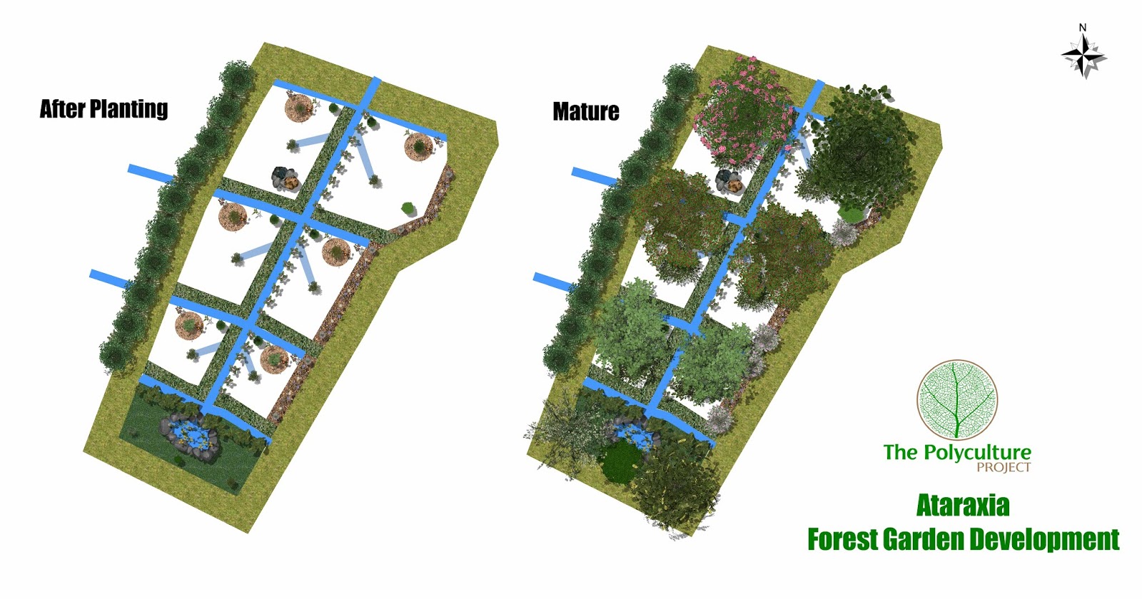 Balkan Ecology Project : How to Design and Build A Forest Garden - Part ...