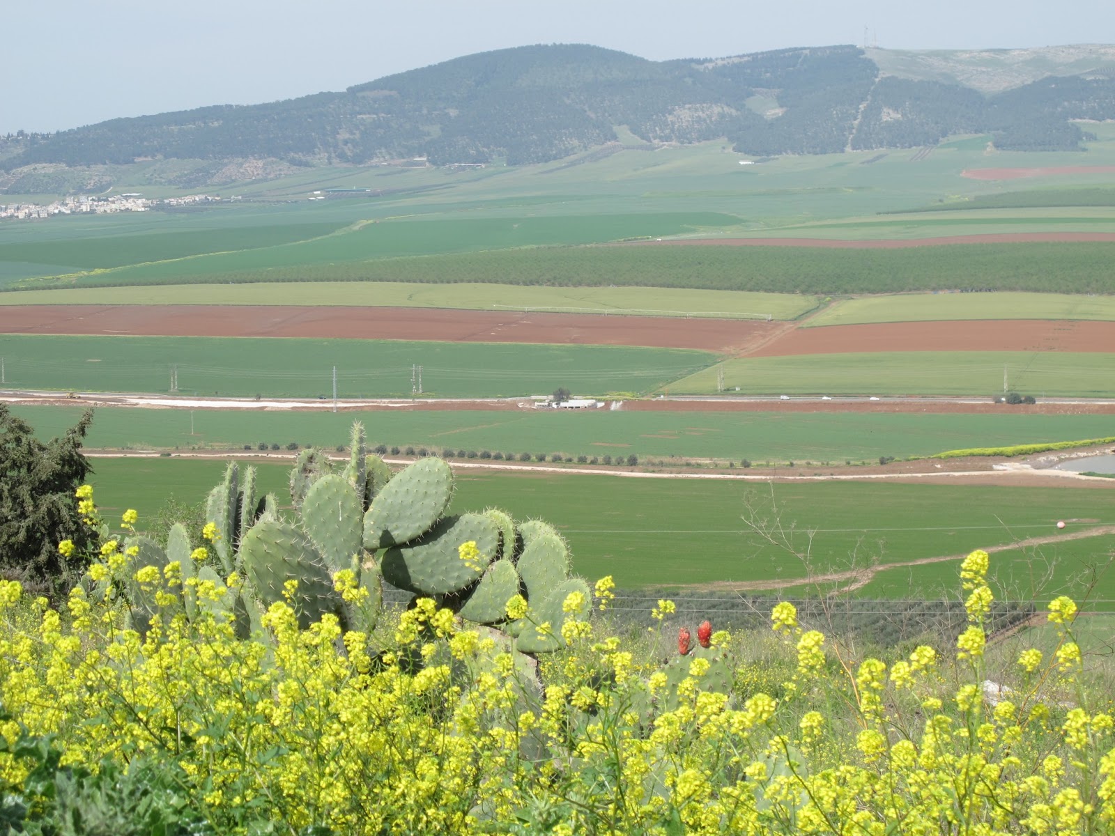 Israel 2013: March 7, 2013 Thurs Day 2