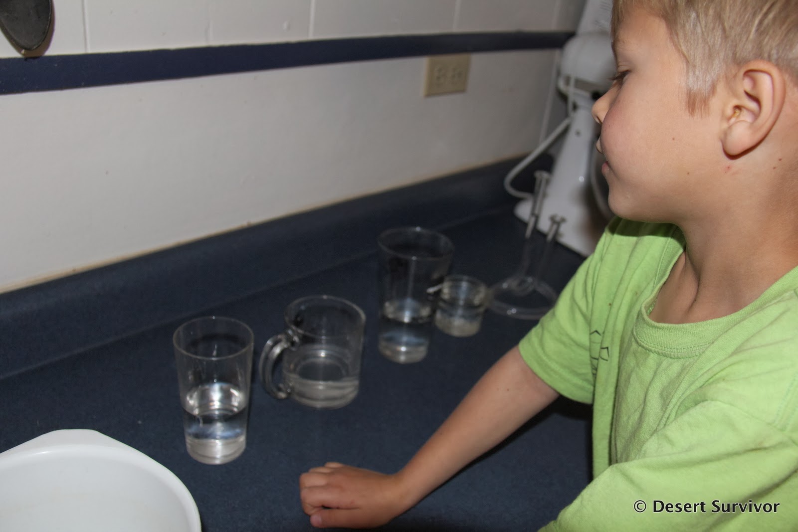 Desert Survivor: Science Experiment: Which Container Has the Most Water?