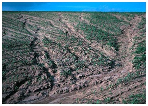 sugeng: Dasyatnya Dampak Erosi