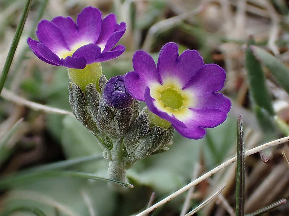 Literate herring, this way.: Out and about (mostly)