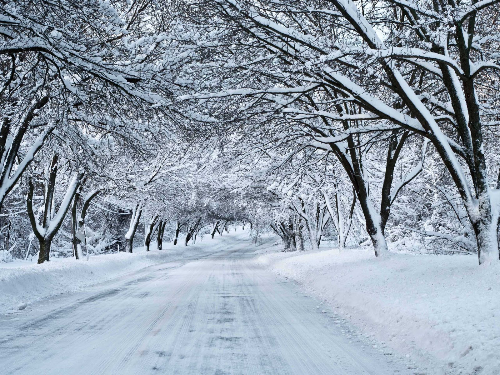 imagenes de paisajes nevados para navidad