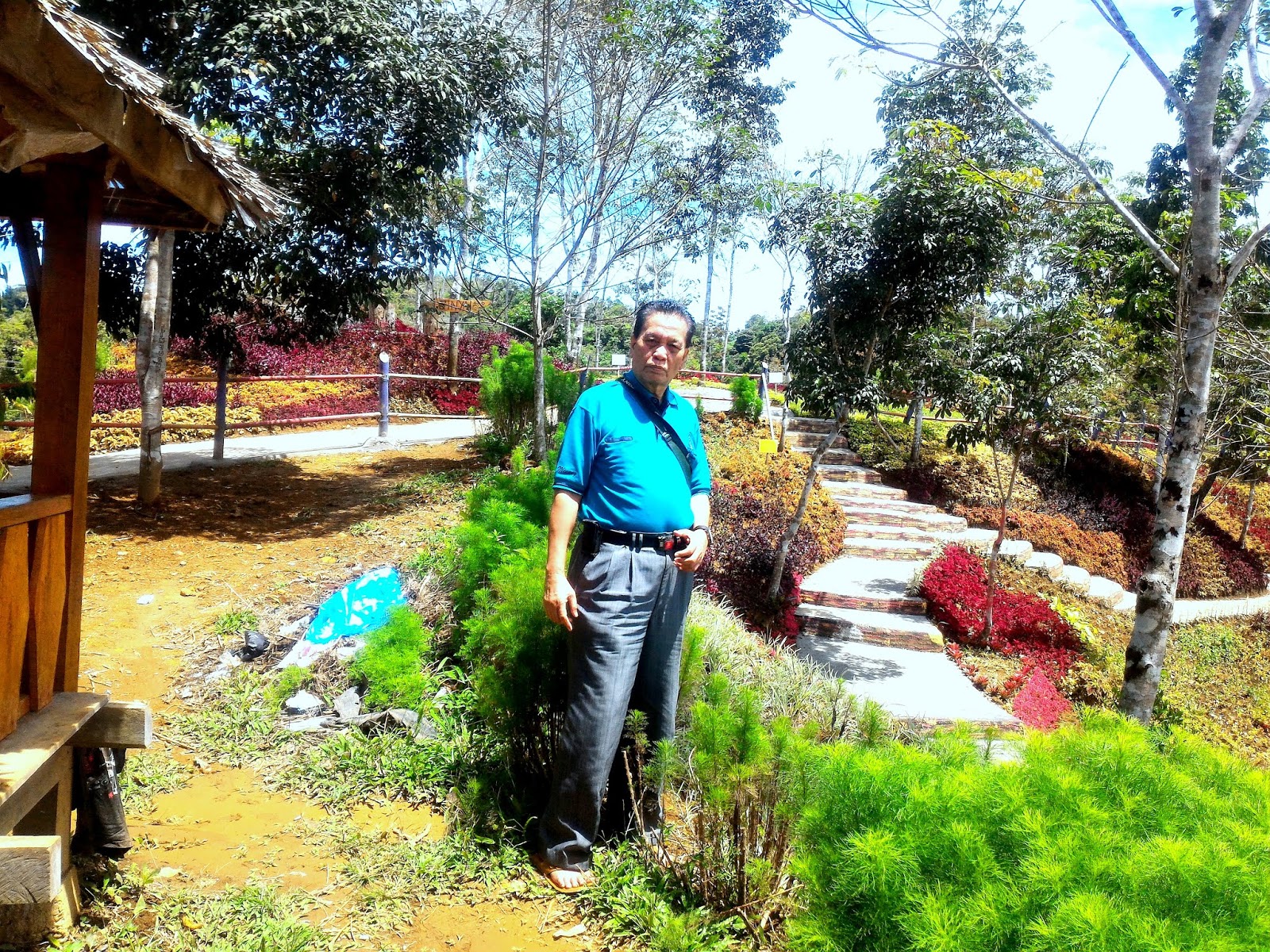 TAMAN BUNGA PUNCAK TONANG LUBUK SIKAPING PASAMAN