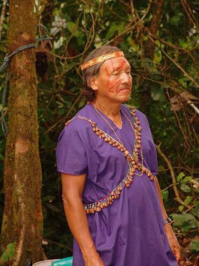 Grupos Etnicos: Pueblos y Nacionalidades de la Amazonia