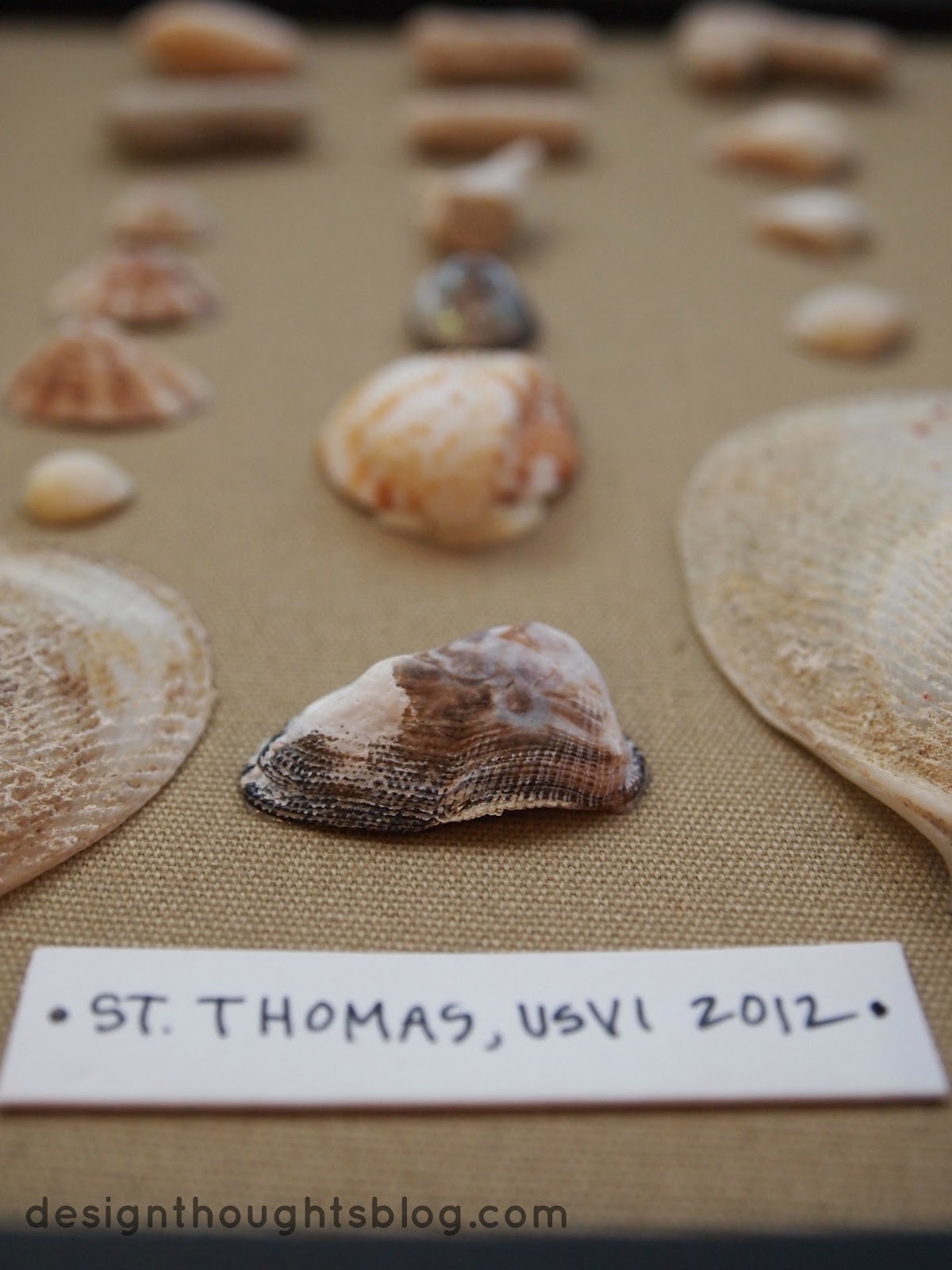 DIY : Vacation Shadow Box {Shells!} - Design Thoughts STUDIO