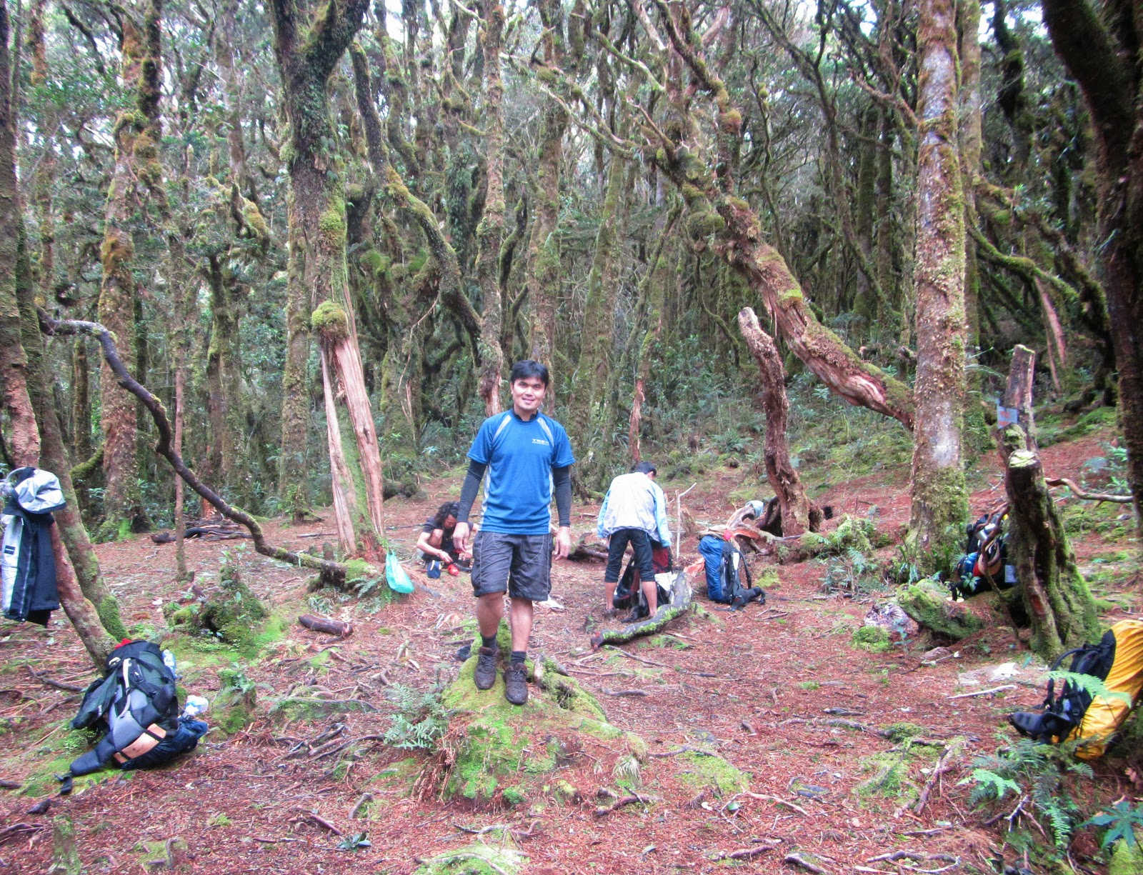 LEXICAL CROWN: MOUNT DULANG-DULANG CLIMB