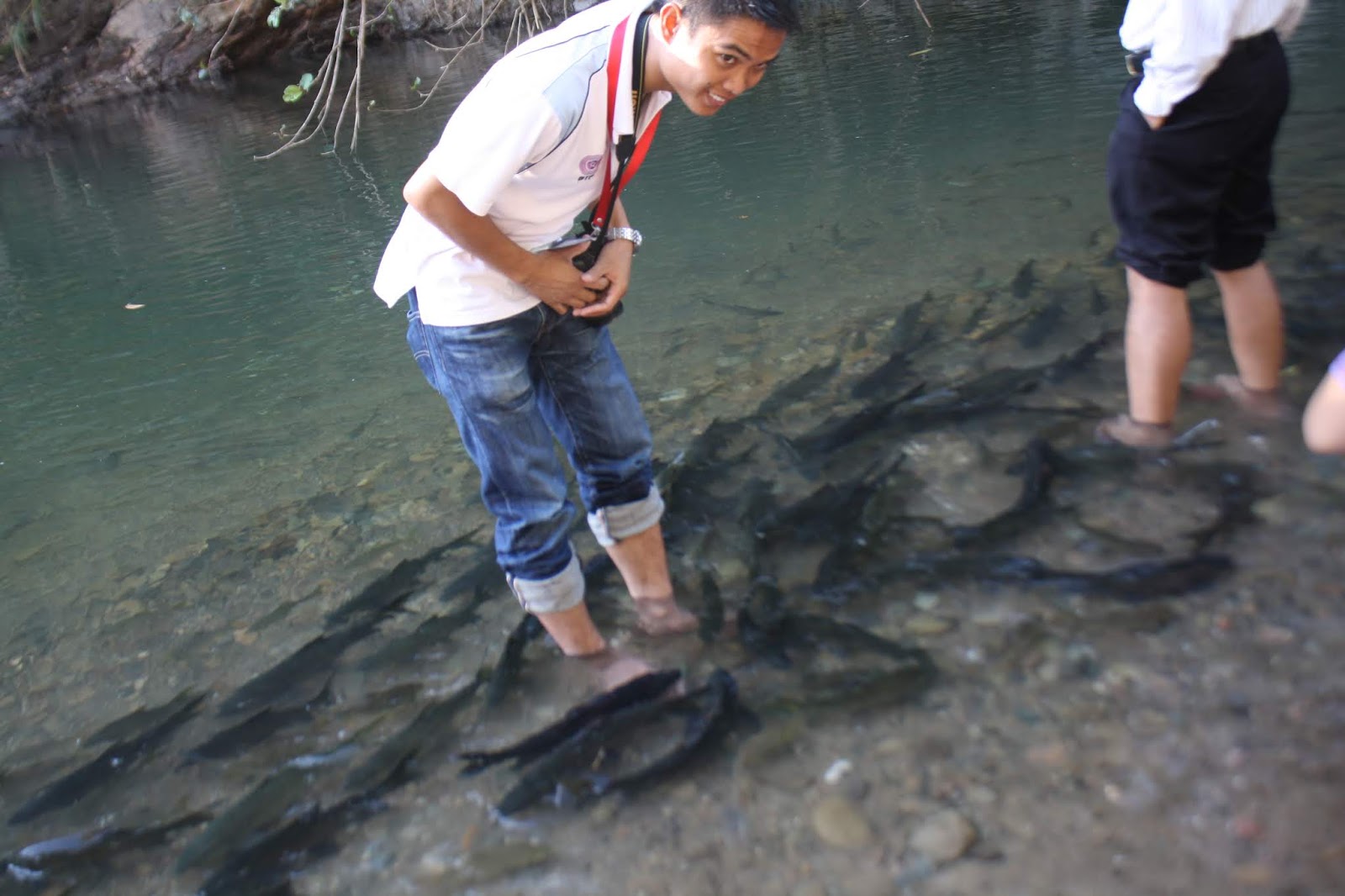 Keajaiban Di Sungai Tagal Luanti Ranau, Sabah