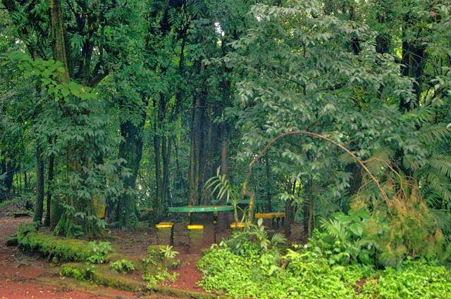 PASEO POR EL PARQUE NACIONAL CERRO VERDE Y SUS ALREDEDORES