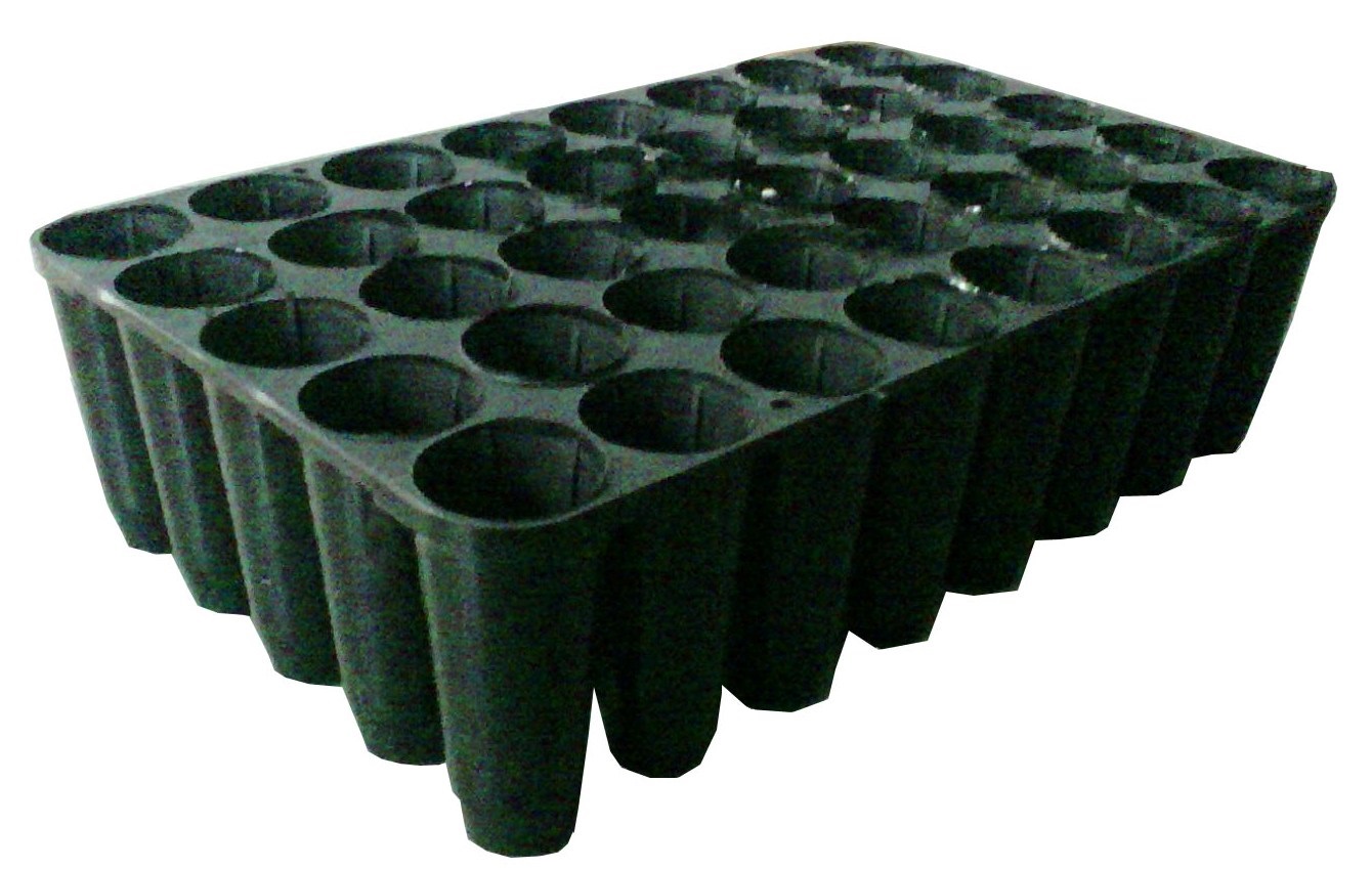Seedling Tray Supplier in India: 40 Cavity root trainer