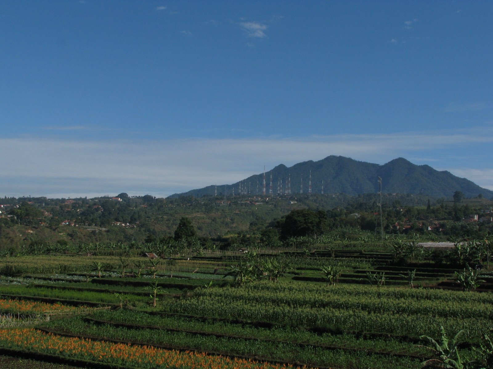 Pemandangan Gunung Burangrang