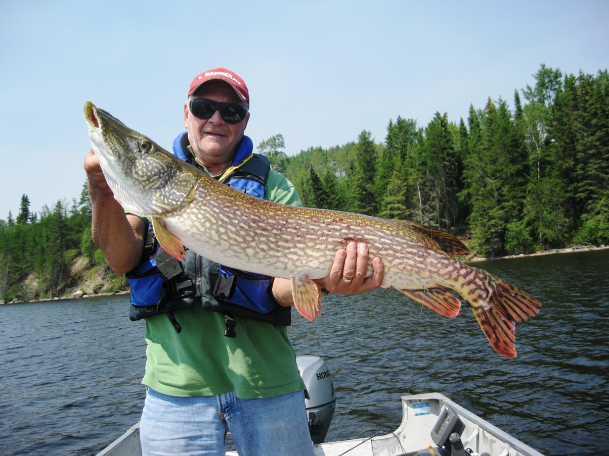 Bow Narrows Camp Blog on Red Lake Ontario: Why you should always let ...