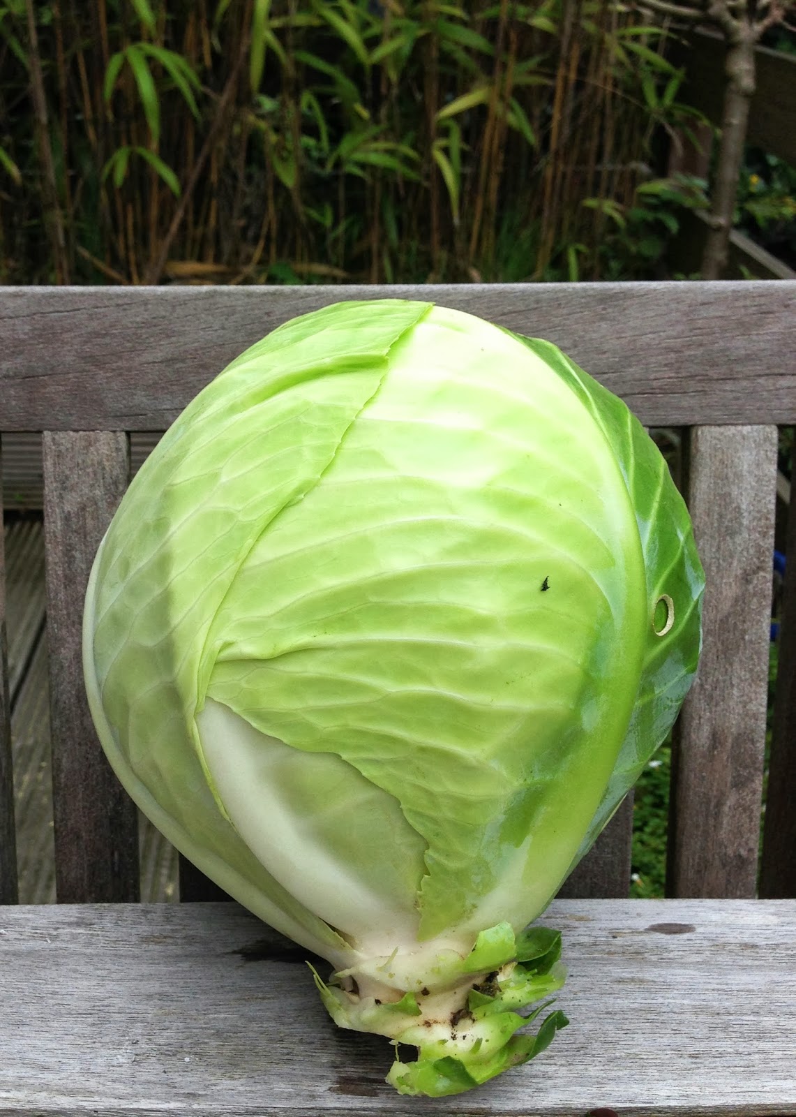 De tuinier en de kok: De oogst van september
