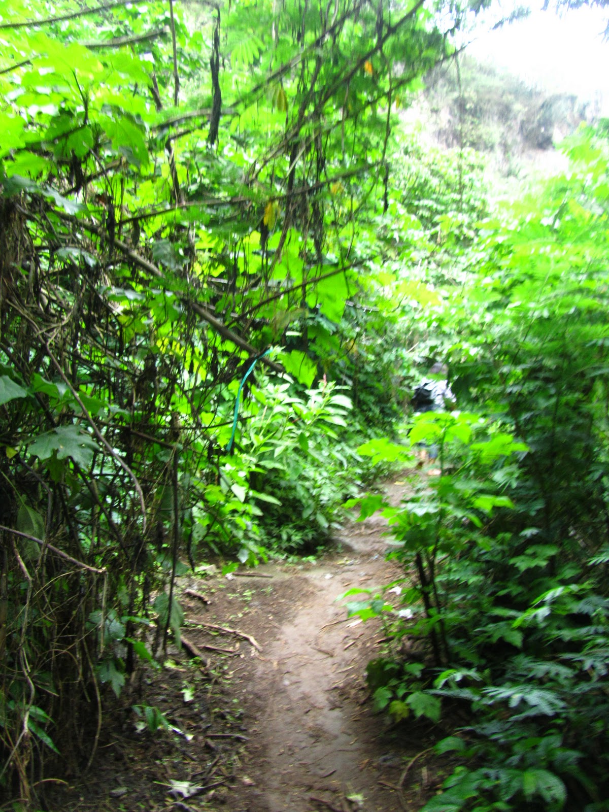 Cuban Talun Waterfall: the sweet escape | Nabilla DP - Parenting ...