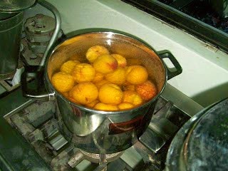 Blog de claudia: ELABORACION DE NECTAR DE DURAZNO