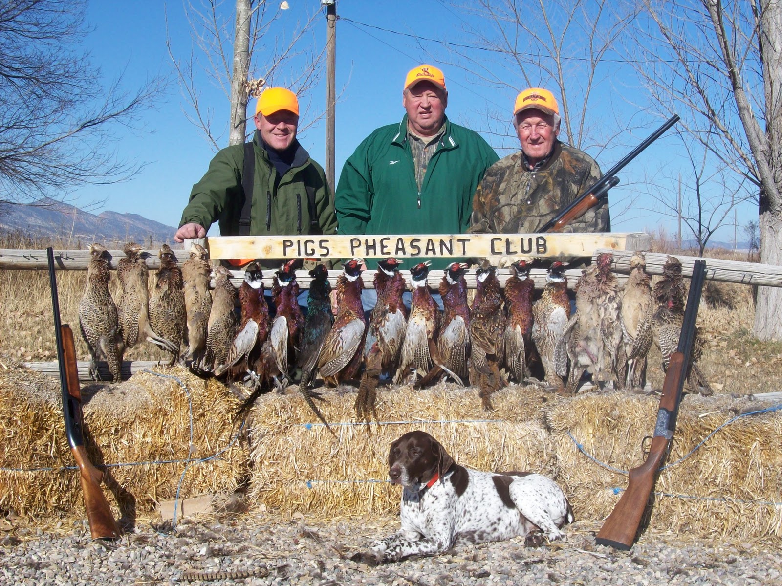 PIGS PHEASANT CLUB: Past Hunt Pictures
