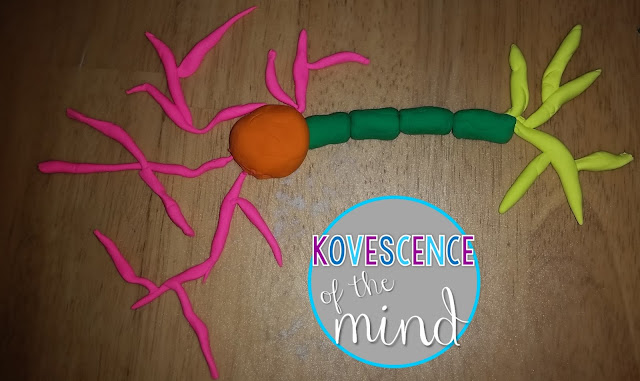 Activities for the Psychology Classroom: Build a Neuron | Kovescence of ...