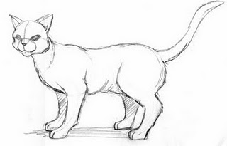 Warriors ThunderClan: How to Draw Warrior Cats