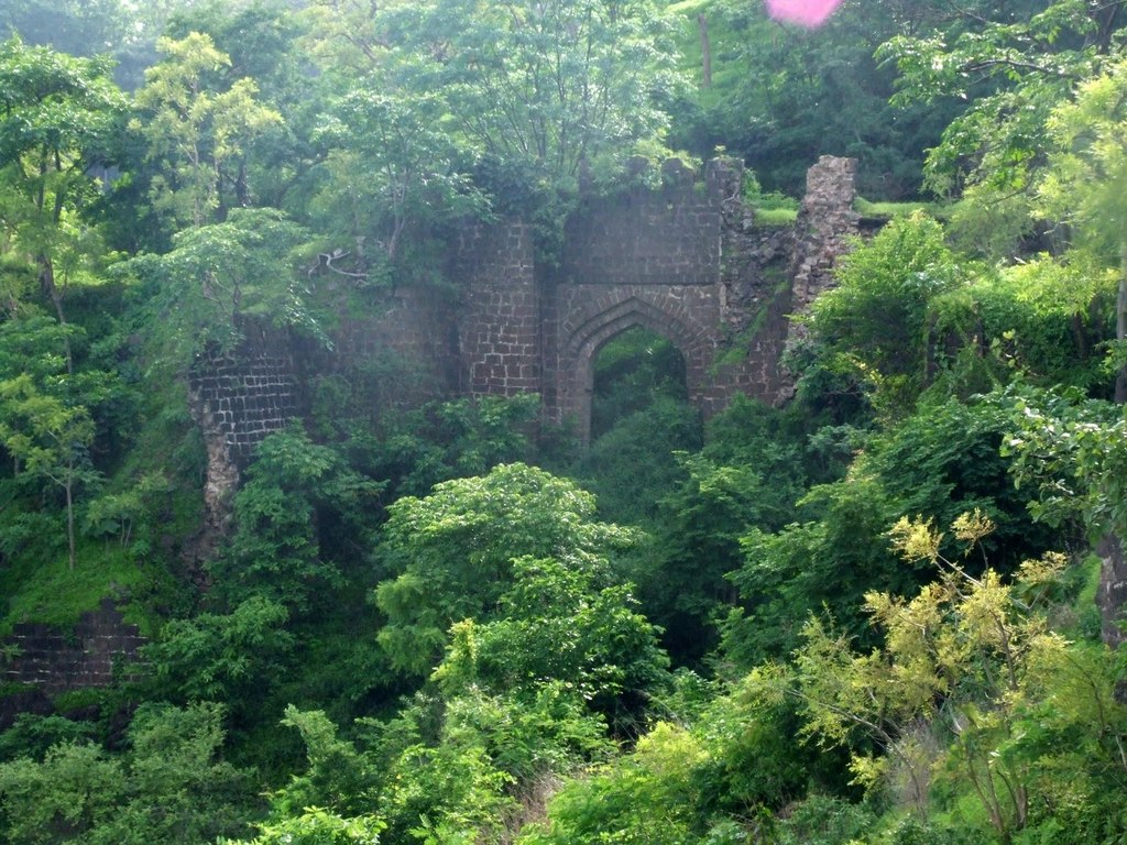 Narnala - JungleKey.in Image