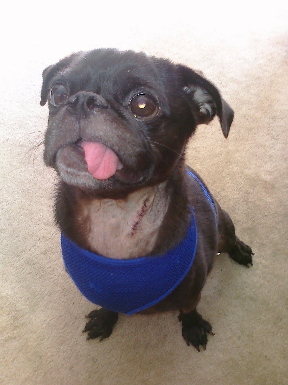 "A" for Effort ("B" for Blog): 2011