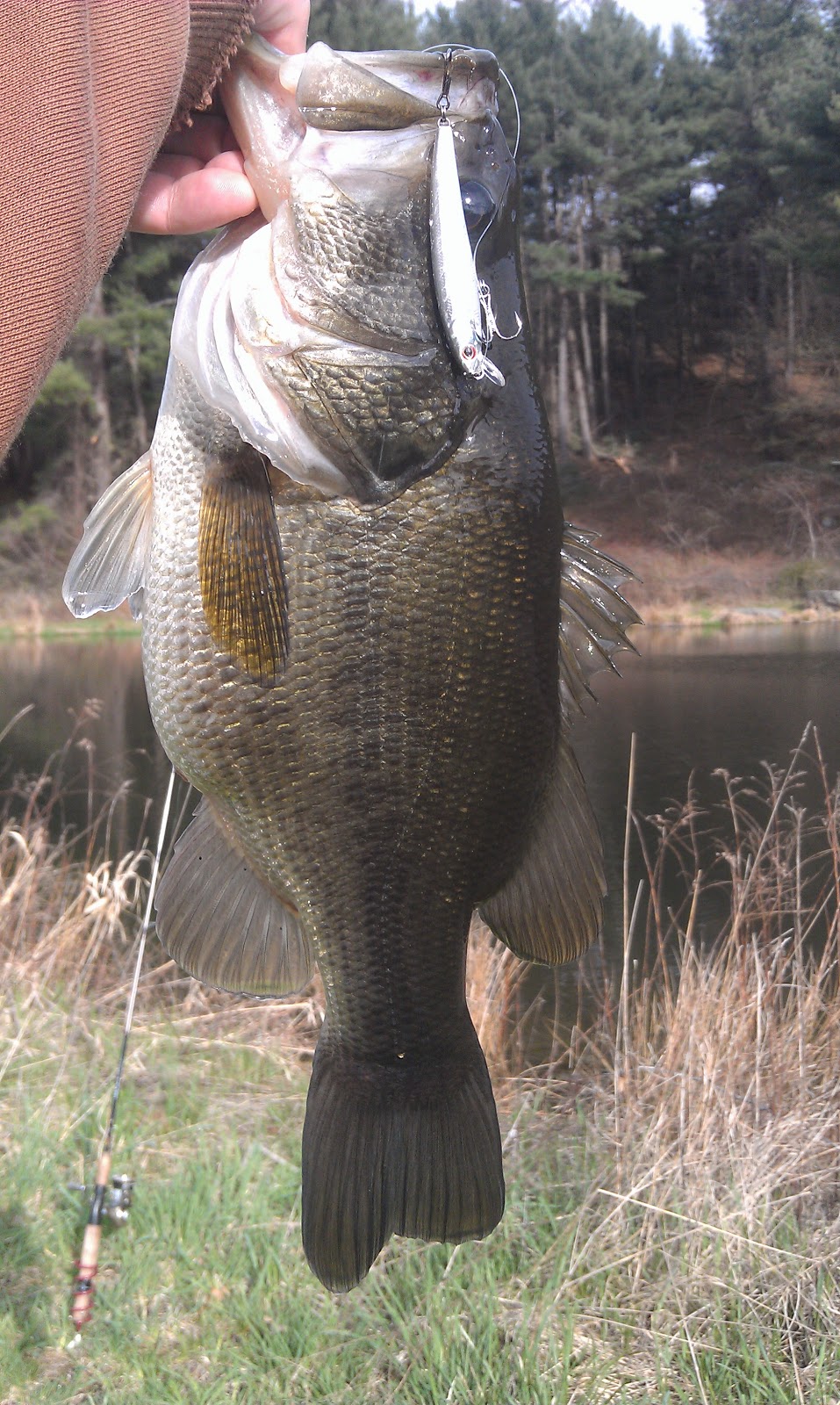 Extreme Philly Fishing: Reports (Rob Z.): Fishing in Scranton, PA (2013!)