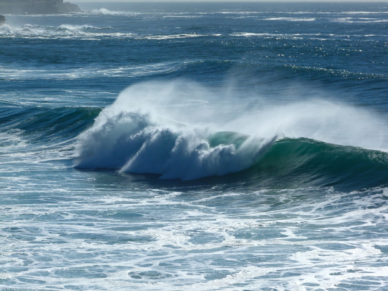 beachcomber: big swell