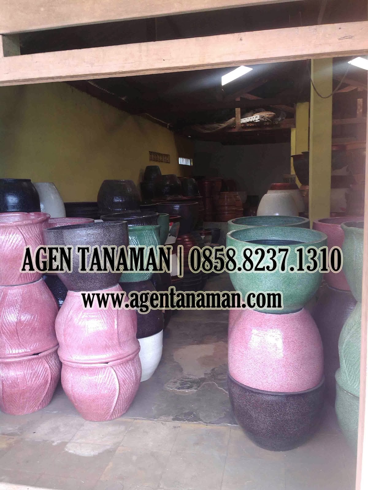 POT HIAS | POT MOTIF WARNA | JUAL POT HIAS BUNGA ~ AGEN TANAMAN