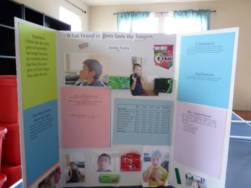 unbeaten star: Which Gum Lasts The Longest Science Project