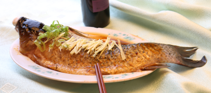 Grass Carp Chinese Recipe | Bryont Rugs and Livings