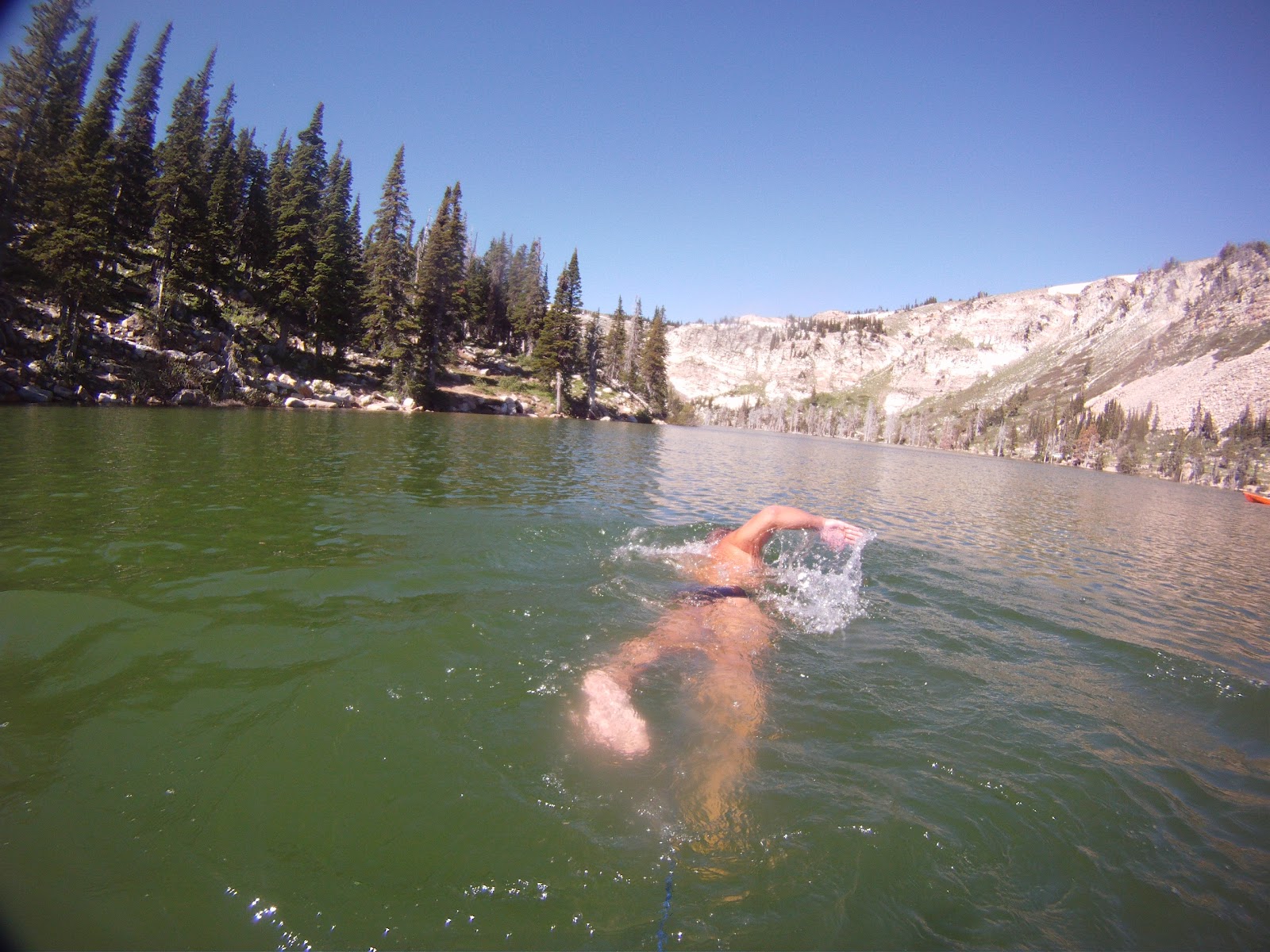 Gords Swim Log: Lake Cleveland