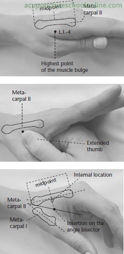 Jarum Sakti: Meridian Paru-paru & Usus Besar