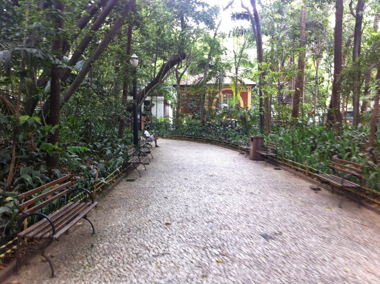 Parque Trianon ou Tenente Siqueira Campos em São Paulo ~ Áreas Verdes ...