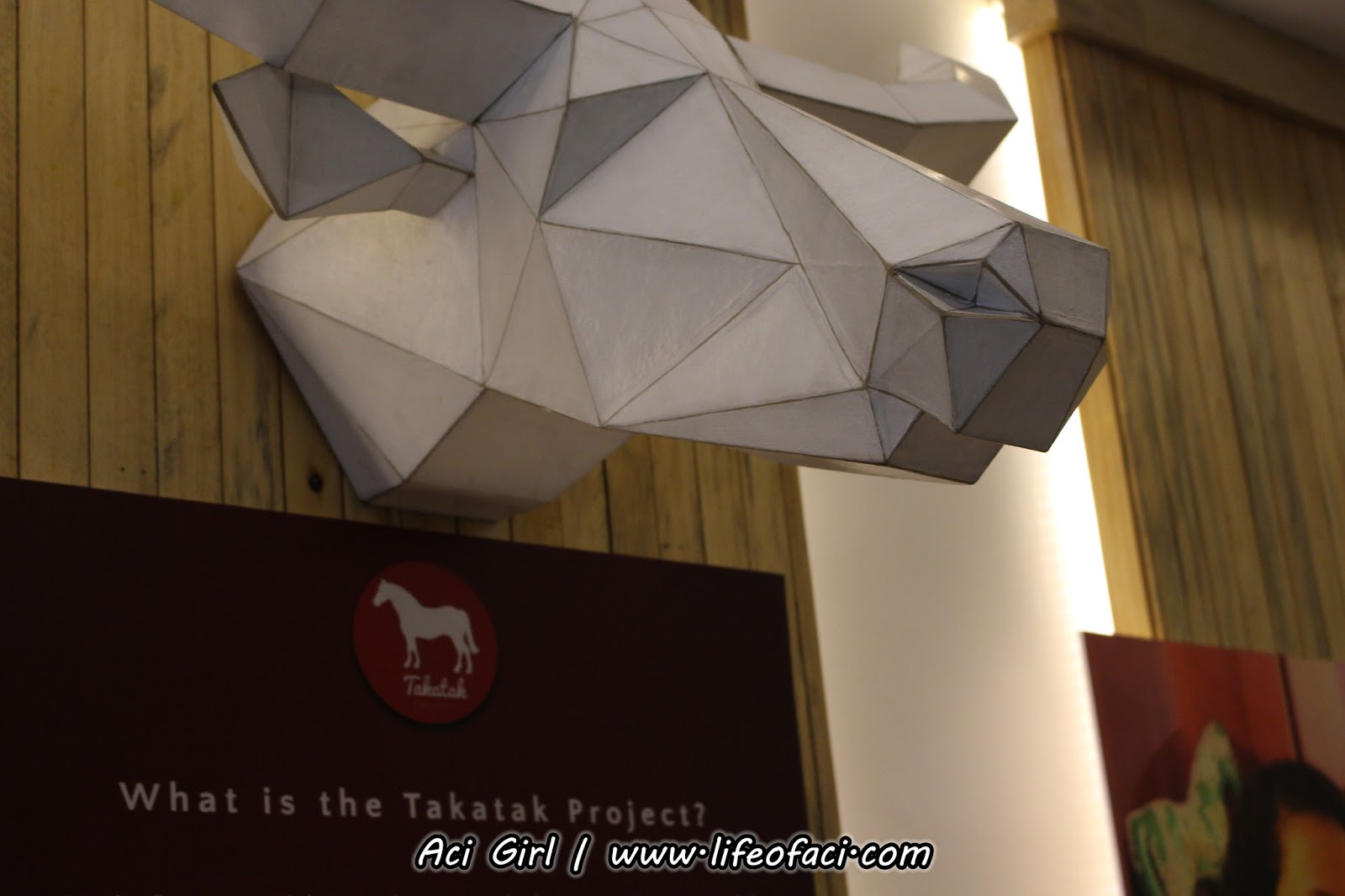 TAKA is Back!!! Wait, What's TAKA? #TakatakProject | Aci Girl