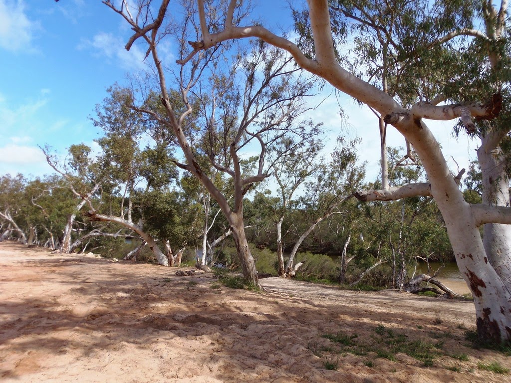 Solo Steve On The Road: MURCHISON HOUSE STATION via KALBARRI WA