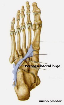 EAMY / VF Javier Rivera