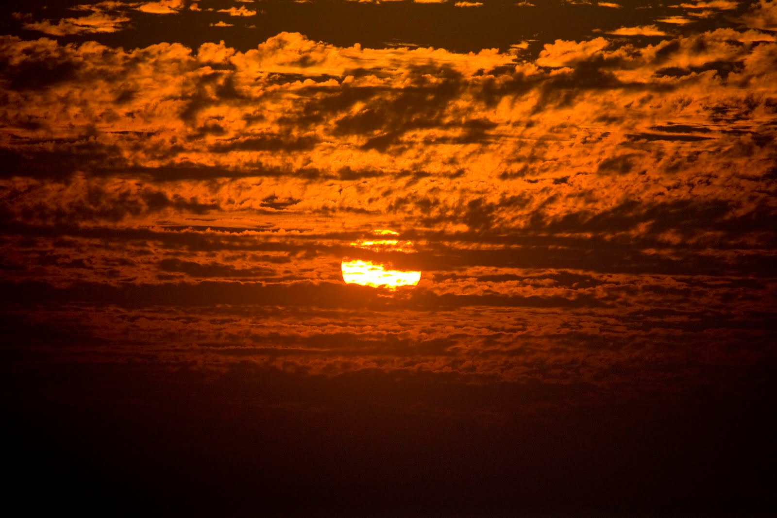 goa wildwatch: Sunset in the Mollem national park, Goa India.