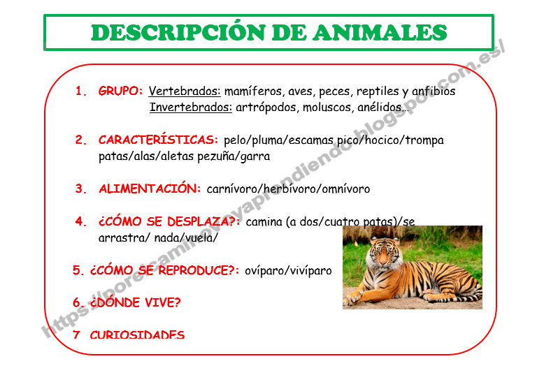 ¡Estamos en tercero!: Descripción de animales