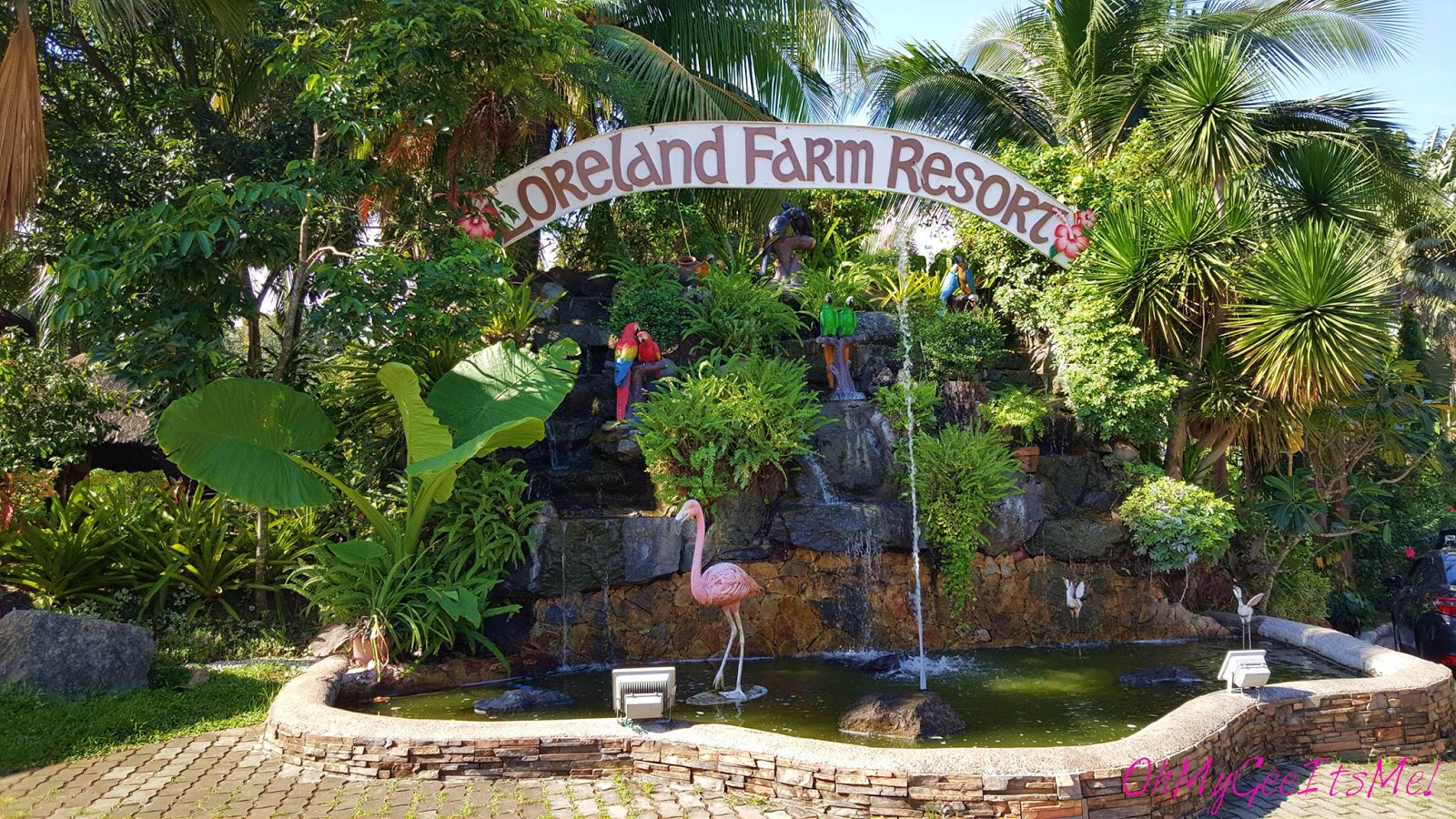 Oh My Gee Its Me! : The Loreland Farm Resort Experience