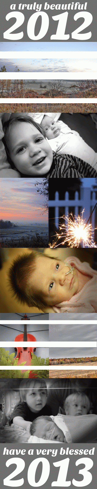 kate dieringer - photography & creative services