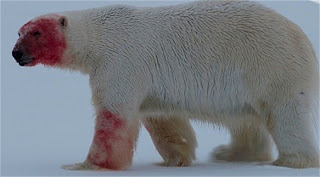 Deformutilation: Polar Bears with Bloody Faces