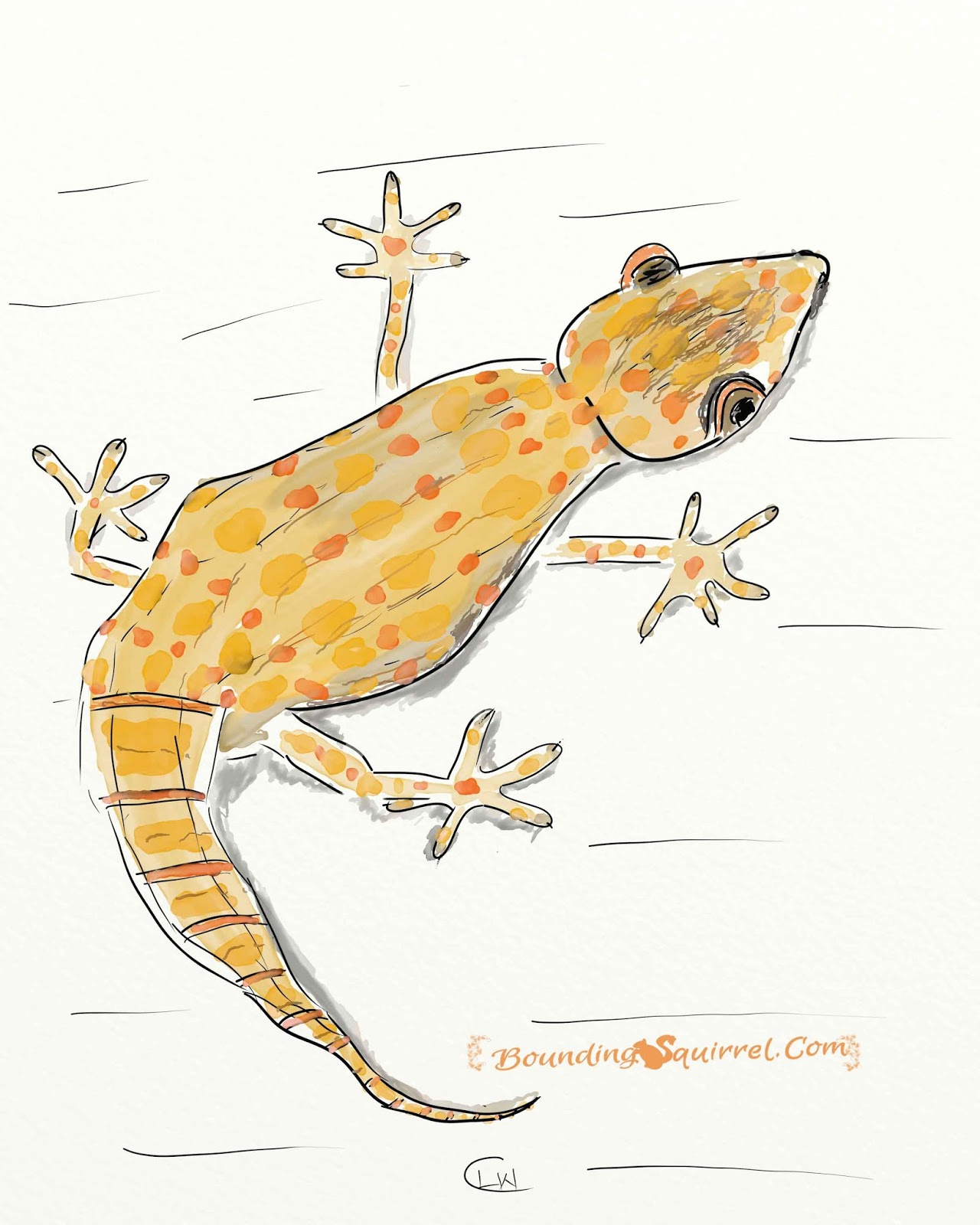 BoundingSquirrel-Watercolour Art by Clare Walker: Daily Illustration ...