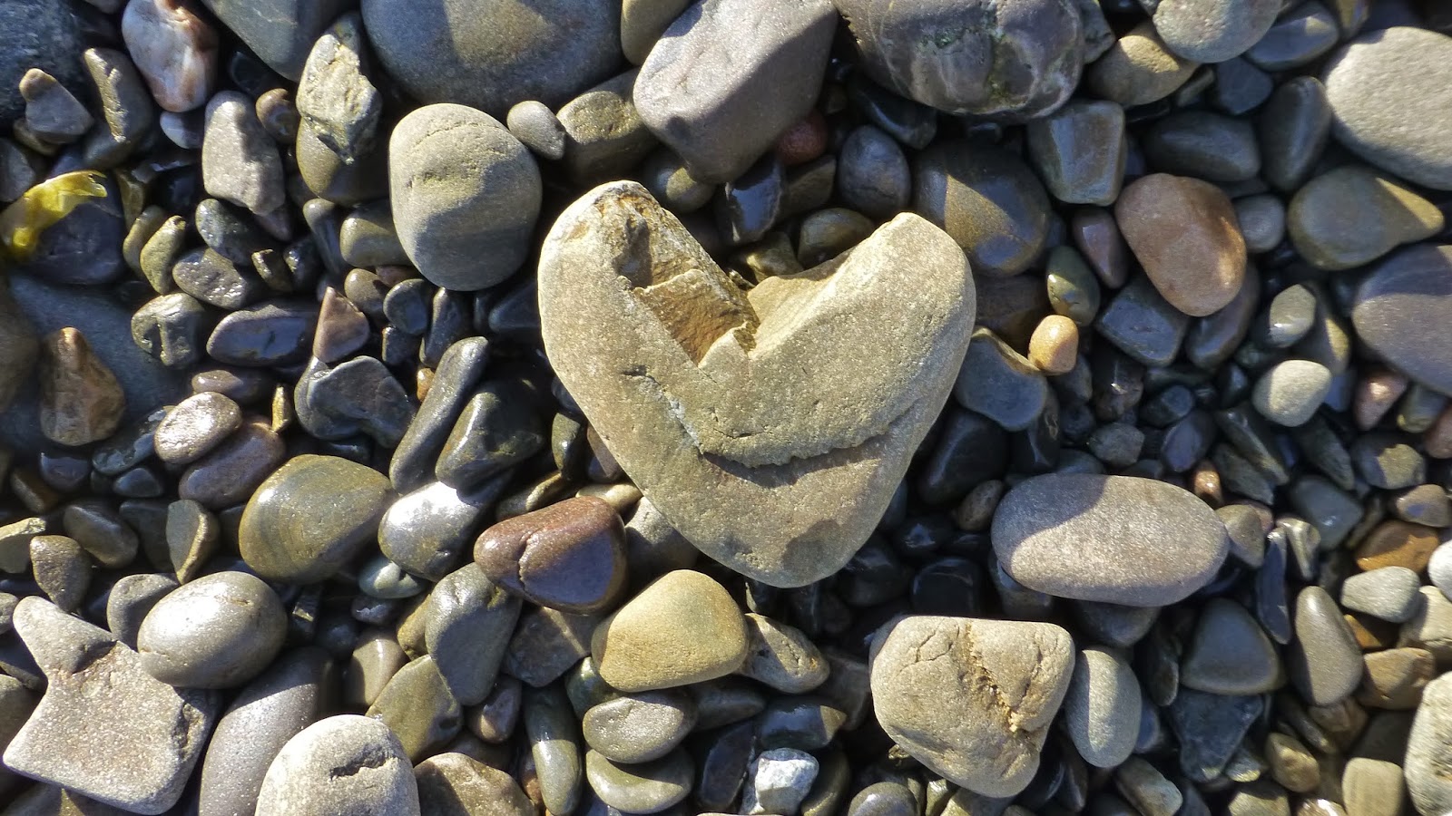 Fair Isle: Nature Lovers - Photos of Natural Heart Shapes