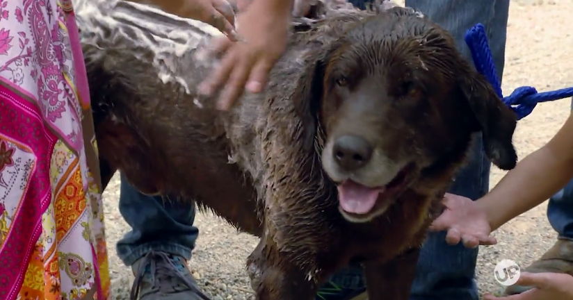 Bates Family Blog: Bates Updates and Pictures | Gil and Kelly | 19 Kids ...