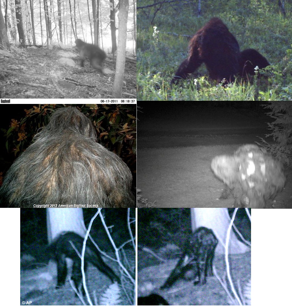 Bizarre Zoology: Science and Strange Animal Sightings at Cabela's