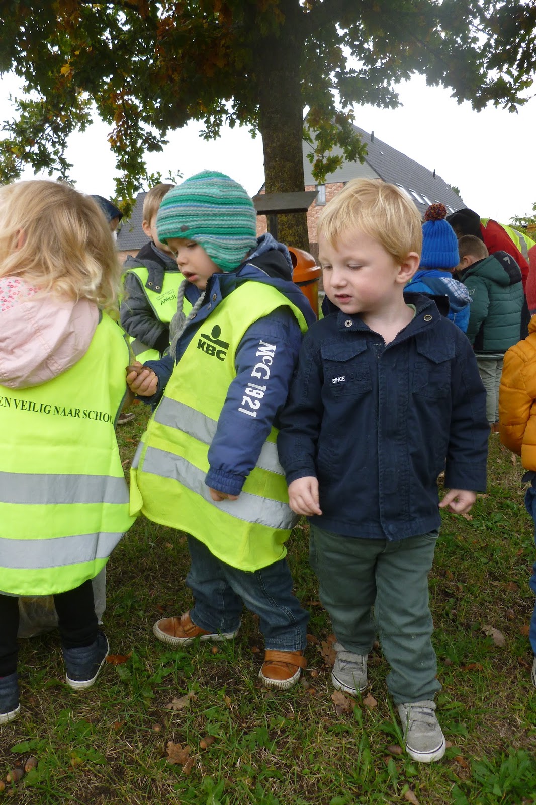 peuterklas en eerste kleuter A - juf Carine: Groene blaadjes, gele ...