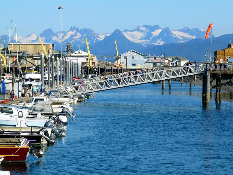 sancarlosfortin: puerto de homer harbor alaska EEUU