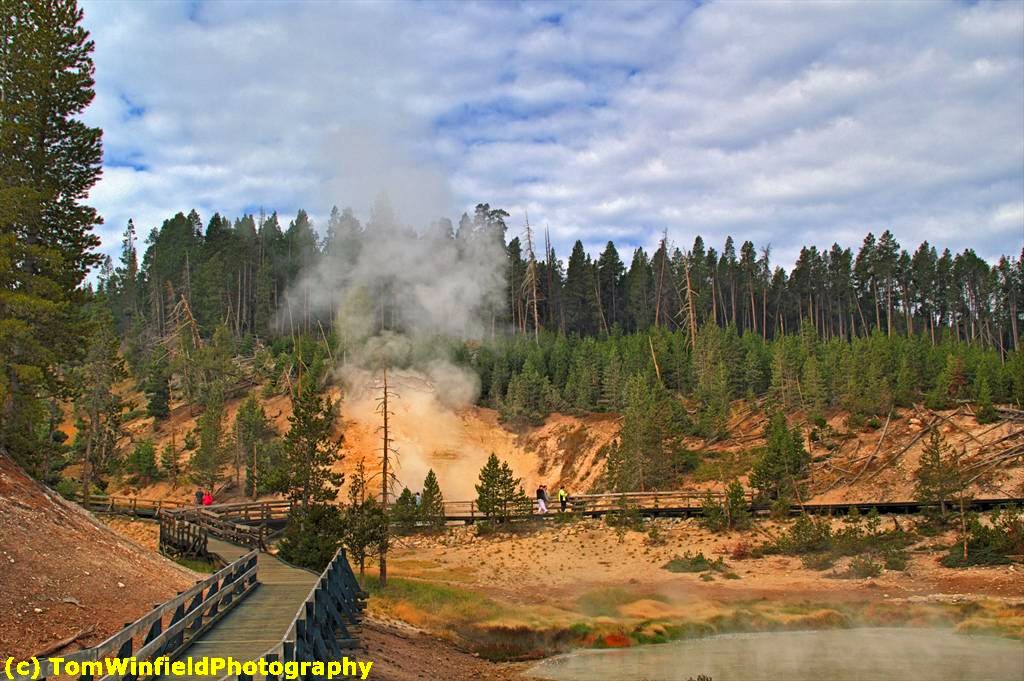 Tom Winfield Photography: Mud Volcano Area